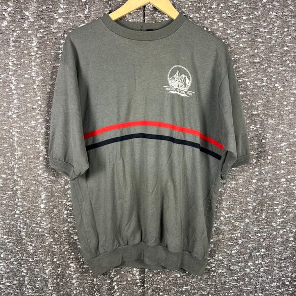 Shirts | Vintage 8s Gray Badlands National Park Ringer Tshirt | Poshmark